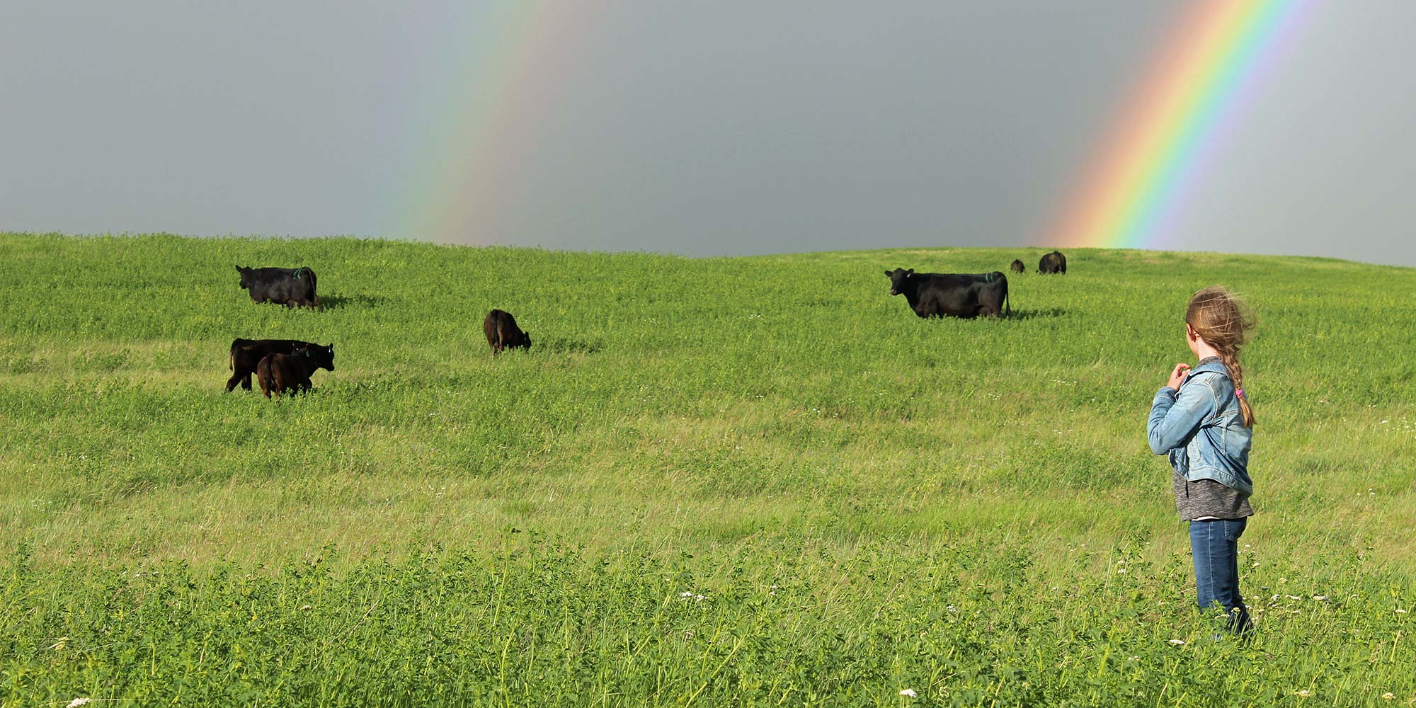 Bar 69 Angus | Angus Cattle Breeder | Belle Fourche, SD